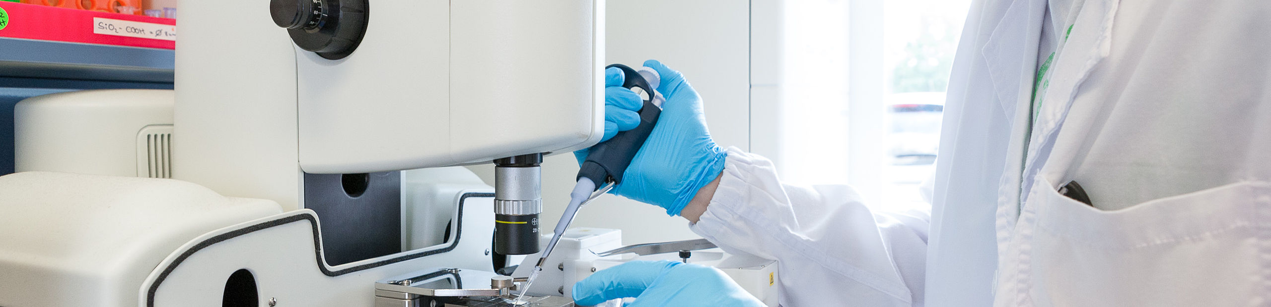 Research field 1: Applied Life Sciences - The variety of professional ...